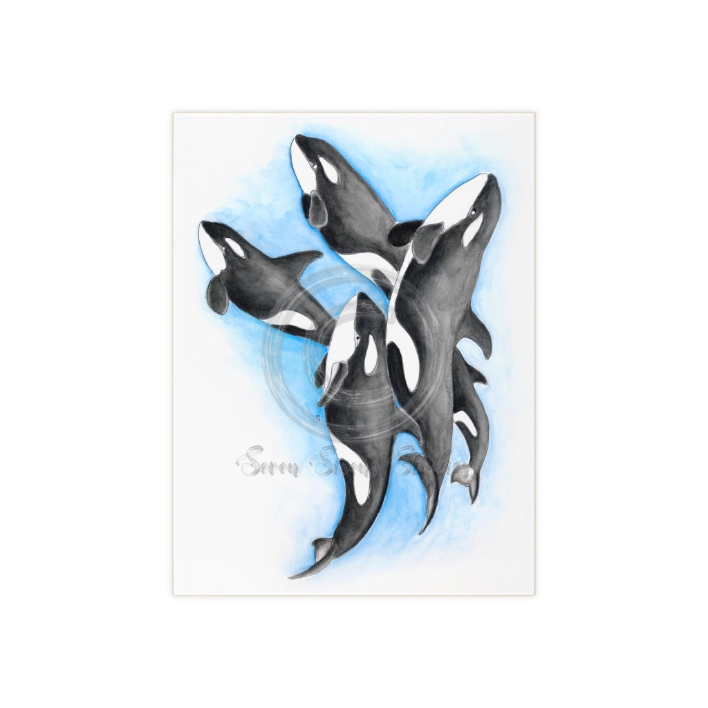 Orca Whale Pod Family Watercolor Art Ceramic Photo Tile – Seven Sirens ...
