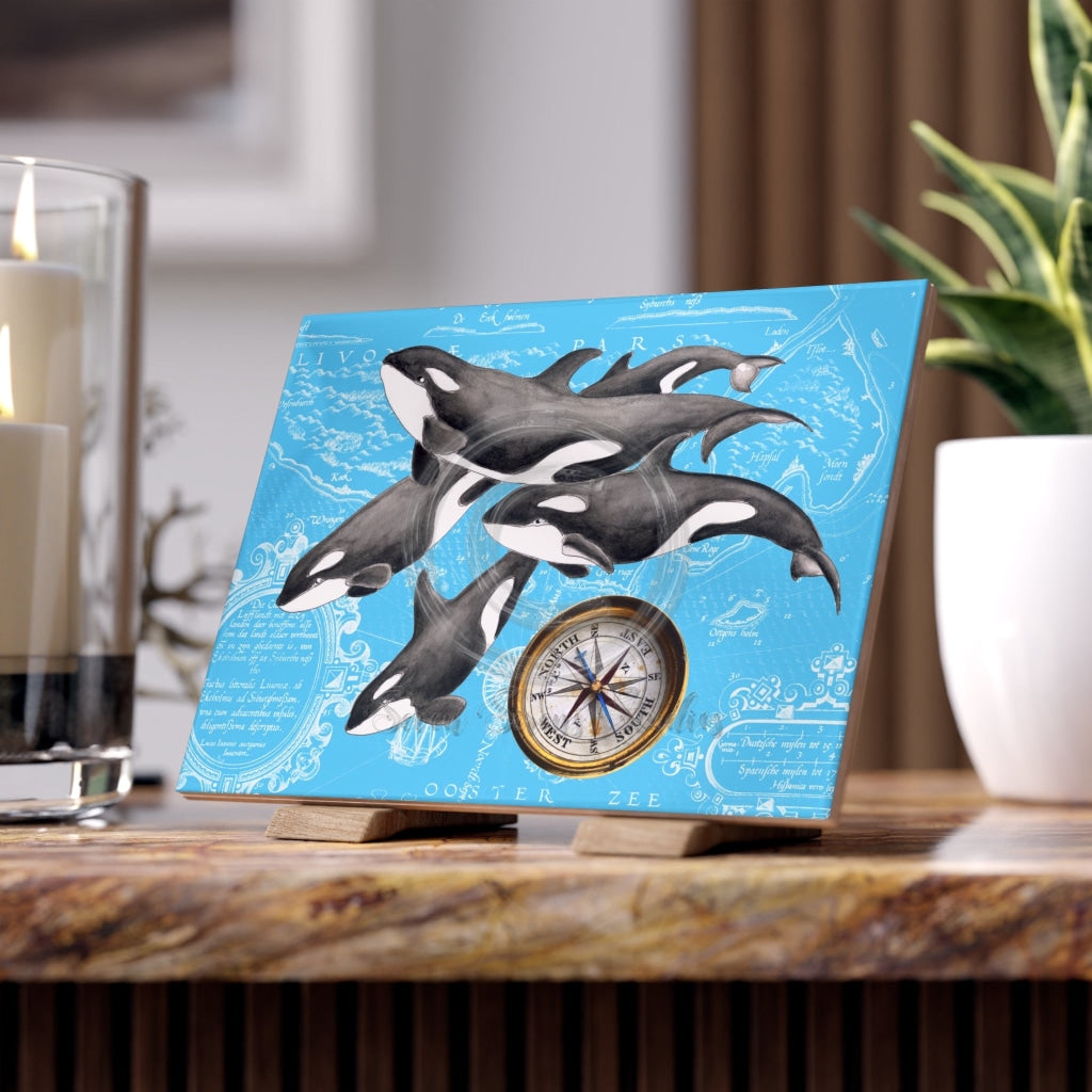 Orca Whales Pod Family Nautical Map Compass Blue Art Ceramic Photo Til ...