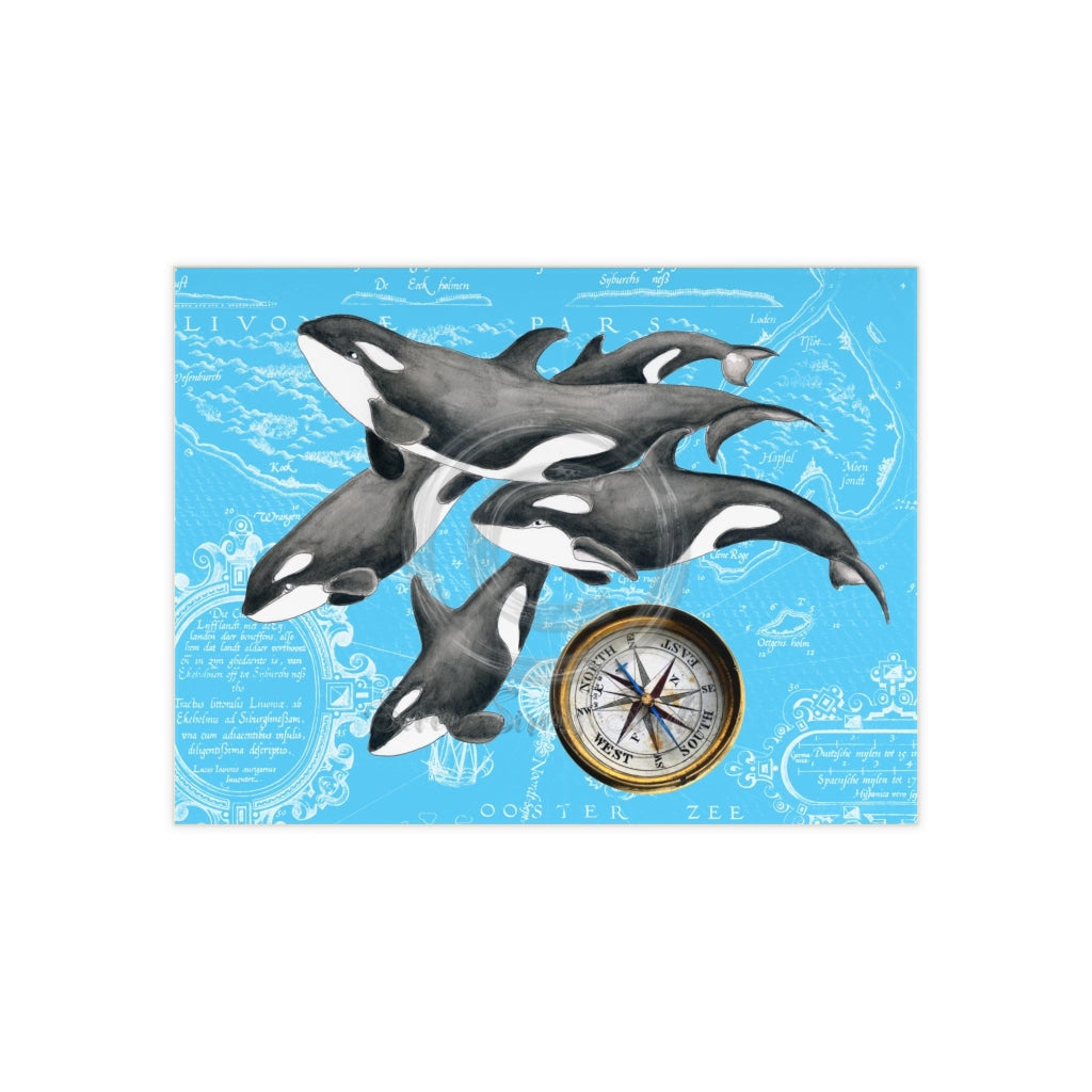 Orca Whales Pod Family Nautical Map Compass Blue Art Ceramic Photo Til ...